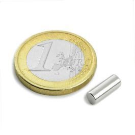 Stavmagnet 4x10 mm | Styrka: 700 gram | Lagervara